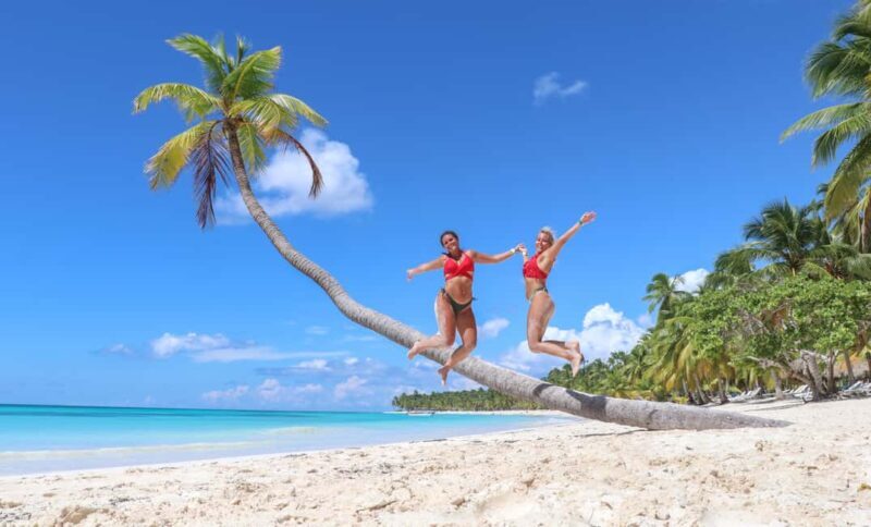 From Punta Cana: Saona Island Trip via Speedboat with Lunch - An Overview of the Tour