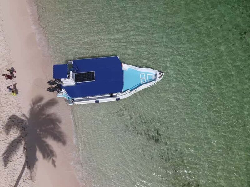 From Punta Cana: Small Group Catalina Island Snorkeling Tour - Final Thoughts