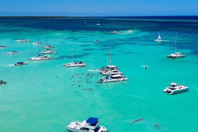 From Punta Cana : VIP Saona and Bay of Eagles All Inclusive - What Travelers Say