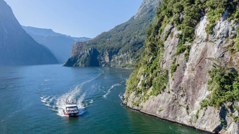 From Queenstown: Coach, Farm Tour & Milford Nature Cruise - A Day in the Life: Exploring with Purpose and Ease