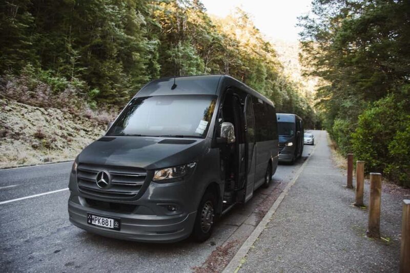 From Queenstown: Milford Sound Business Class with Cruise - Key Points