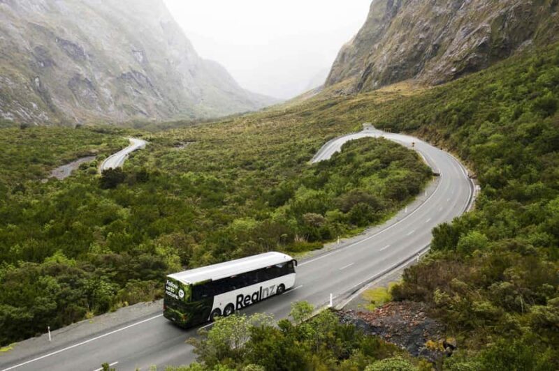 From Queenstown: Milford Sound Cruise and Coach Day Tour - A Detailed Look at the Queenstown: Milford Sound Cruise and Coach Day Tour
