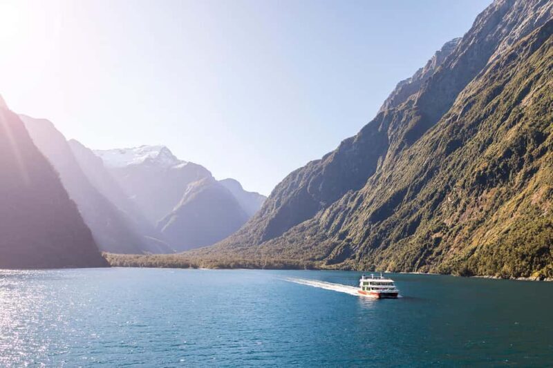 From Queenstown: Milford Sound Cruise & Scenic Coach Tour - Key Points