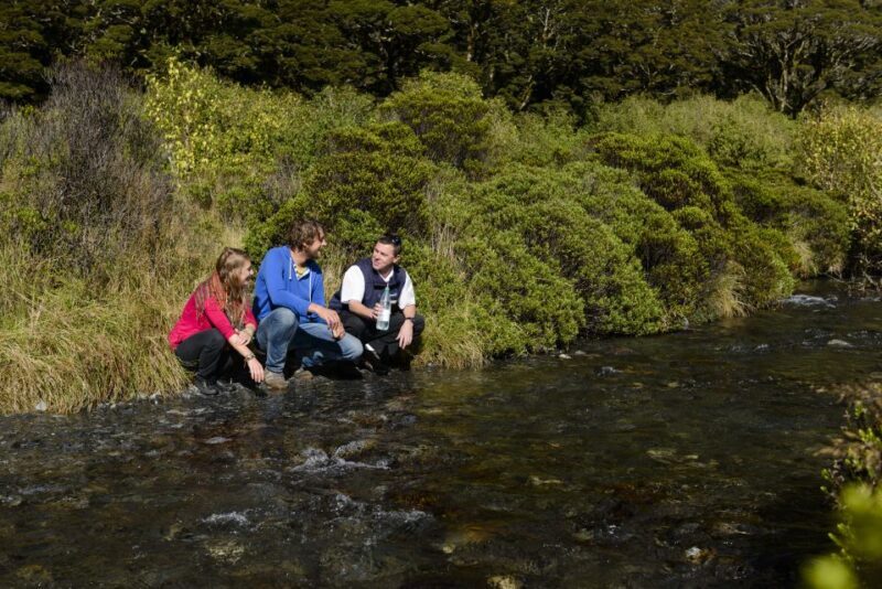 From Queenstown: Milford Sound Cruise & Scenic Coach Tour - The Experience’s Price and Value
