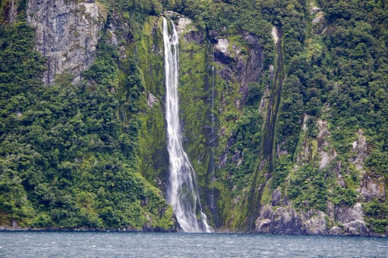 From Queenstown: Milford Sound Full-Day Trip by Plane & Boat - Analyzing Value: Price and Experience