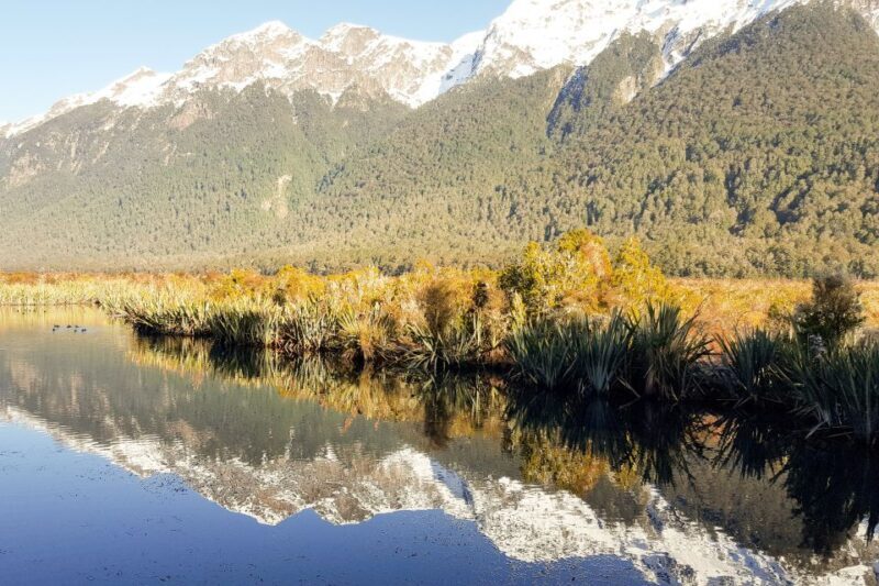 From Queenstown: Milford Sound Premium Day Tour and Cruise - Key Points