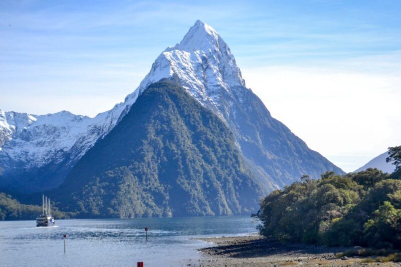 From Queenstown: Milford Sound Premium Day Tour and Cruise - A Well-Organized and Comfortable Journey