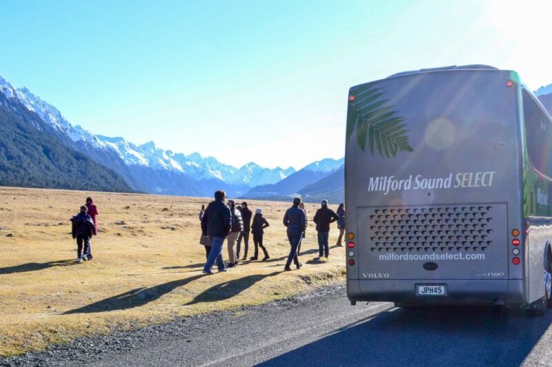 From Queenstown: Milford Sound Premium Day Tour and Cruise - Why Many Reviewers Rave About This Tour