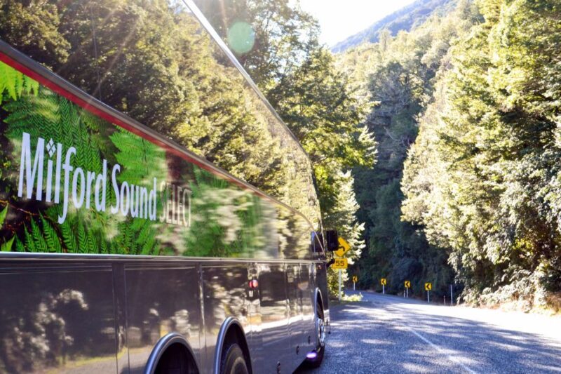 From Queenstown: Milford Sound Premium Day Tour and Cruise - The Long Drive and Practical Considerations