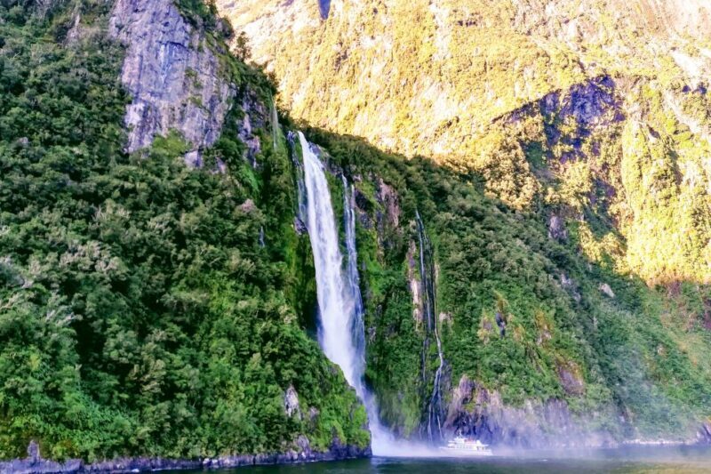 From Queenstown: Milford Sound Premium Day Tour and Cruise - Authentic Experiences and Authenticity