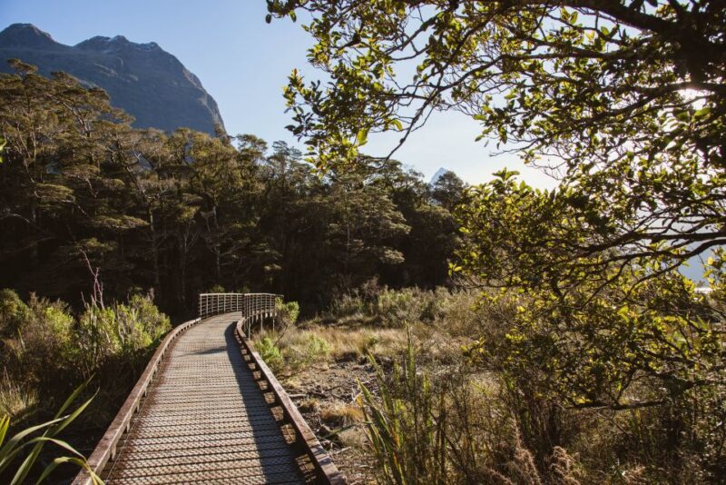 From Queenstown: Milford Sound Scenic Flight & Nature Tour - FAQs