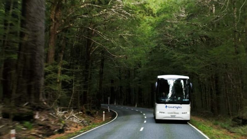 From Queenstown: Scenic One-Way Tour to Franz Josef - A Detailed Look at the Scenic Route