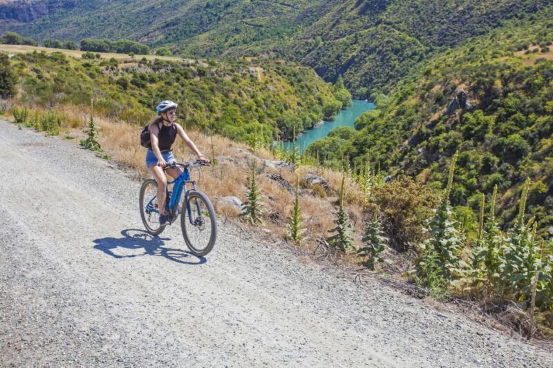 From Queenstown: 'Valley of the Vines' Wine and Bike Tour - Value and Practicality
