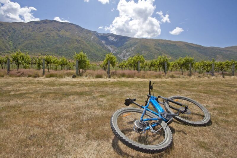 From Queenstown: 'Valley of the Vines' Wine and Bike Tour - Who Should Consider This Tour?