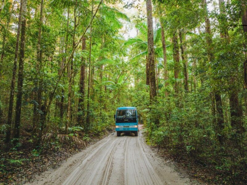 From Rainbow Beach: K'gari Fraser Island Full-Day Coach Tour - Practical Details and Traveler Tips