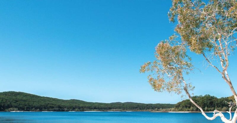 From Rainbow Beach: K'gari, Fraser Island Two-Day Coach Tour - What to Expect on Your Fraser Island Adventure