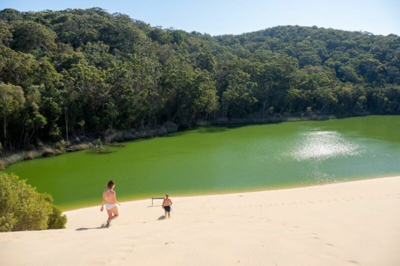 From Rainbow Beach: K'gari, Fraser Island Two-Day Coach Tour - Who Should Book This Tour?