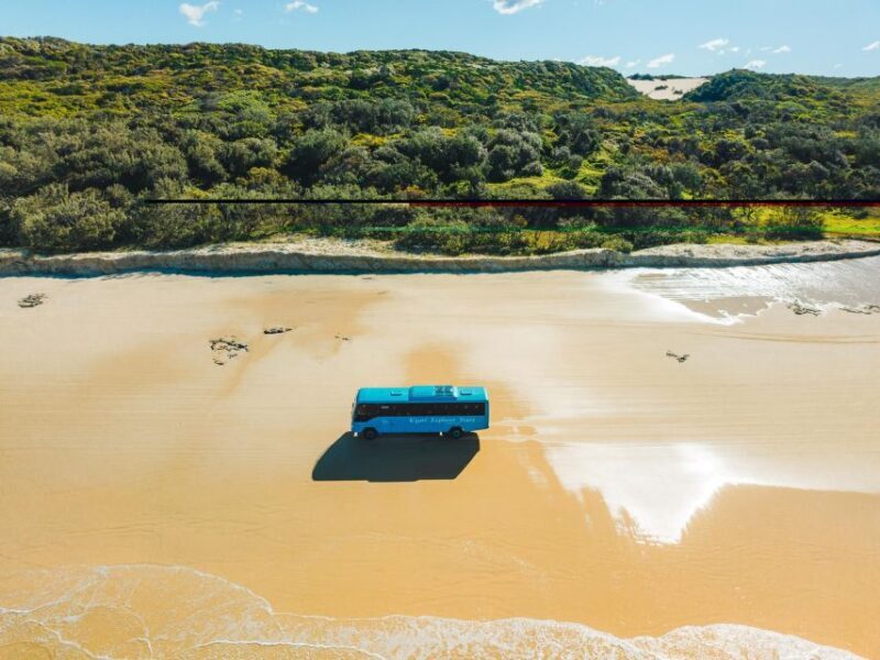 From Rainbow Beach: K'gari, Fraser Island Two-Day Coach Tour - FAQs