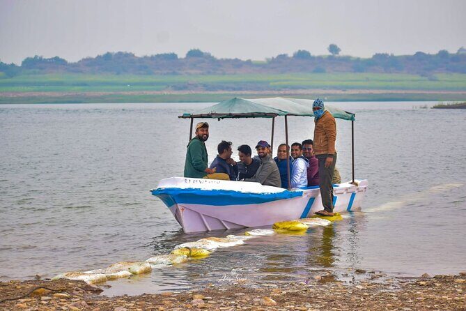 From Ranthambore:National Chambal Alligator Private Trip All Incl - Transport and Comfort: What Does It Mean for You?