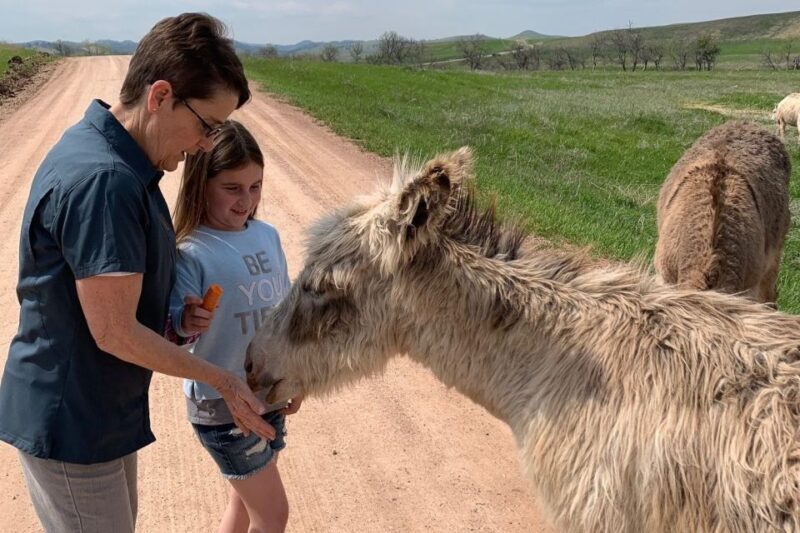 From Rapid City: Custer State Park Private Safari and Hiking - An In-Depth Look at the Tour Experience