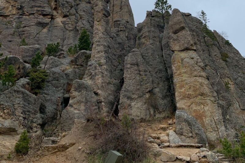 From Rapid City: Custer State Park Private Safari and Hiking - Why This Tour Stands Out