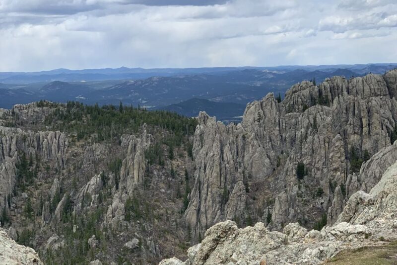 From Rapid City: Custer State Park Private Safari and Hiking - The Sum Up