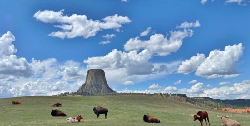 From Rapid City: Devils Tower National Monument Day Trip - Who Would Love This Tour?