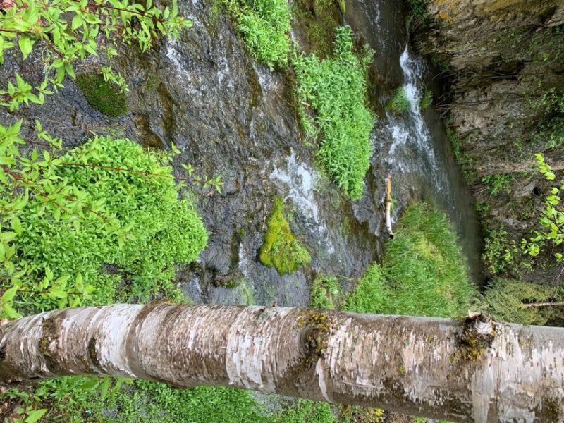 From Rapid City: Private Spearfish Canyon Tour - Exploring Spearfish Canyon on a Private Guided Tour