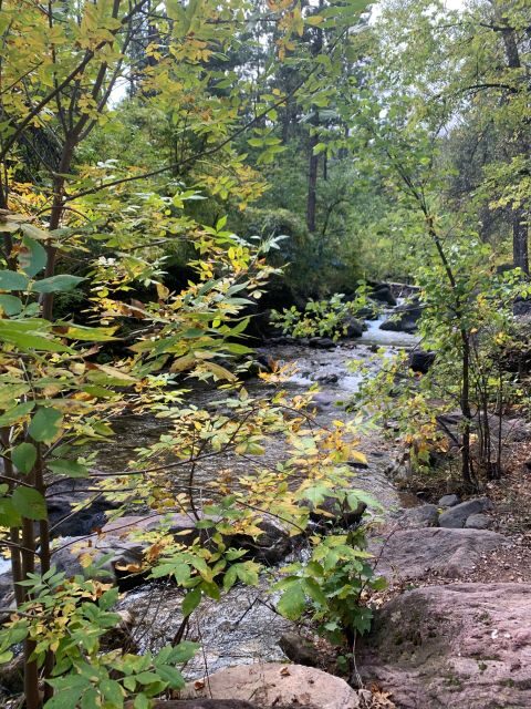 From Rapid City: Private Spearfish Canyon Tour - Who Will Love This Tour?