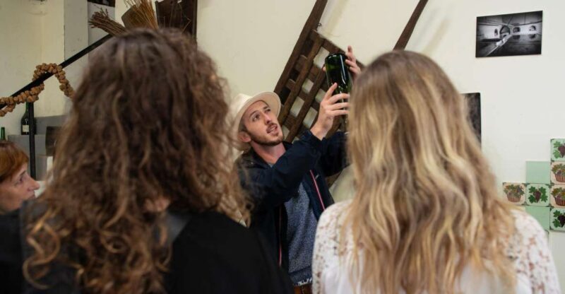 From Reims: Champagne and Family-Run Wineries Tour - Practicalities to consider