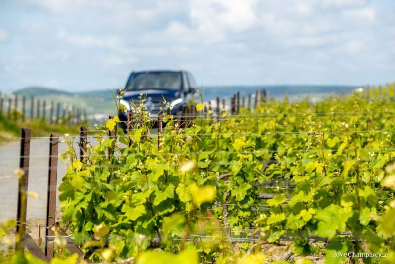 From Reims: Morning Champagne Tour and Tastings - Why This Tour Offers Great Value