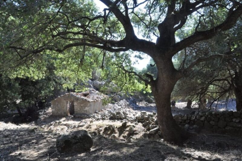 From Rethymno/Chania: Imbros Gorge Hike - Final Thoughts