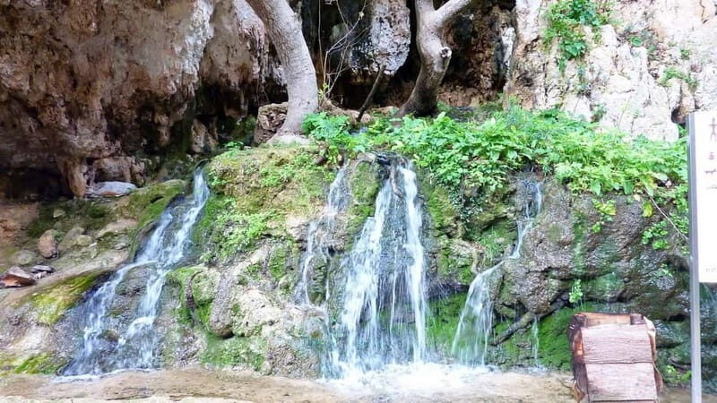 From Rethymno: Cretan Stories - The Value Proposition