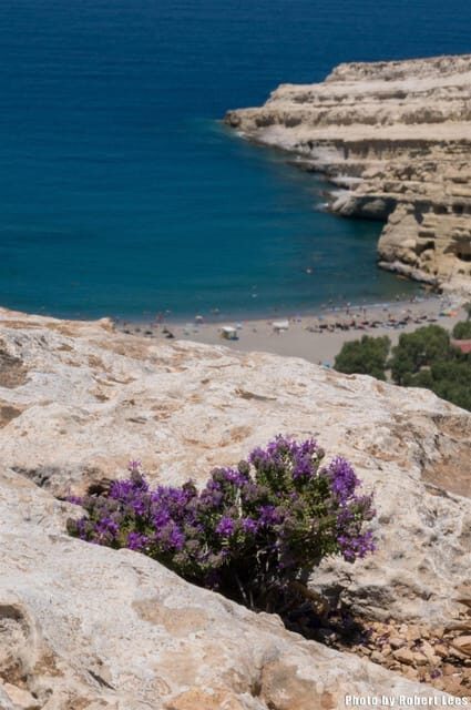 From Rethymno: Day trip to MATALA - AG.GALINI - SPILI - Transportation, Timing, and Group Experience