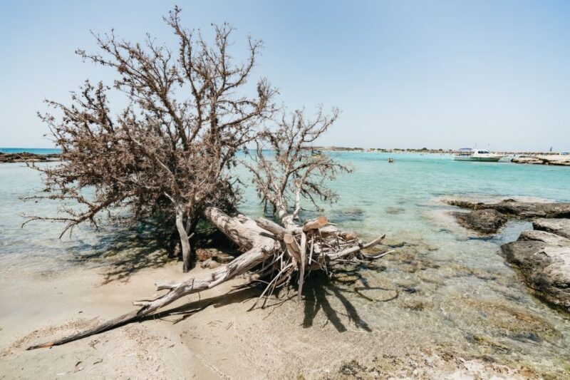 From Rethymno/Kavros: Elafonissi Pink Sand Beach Tour - A Deep Dive into the Experience