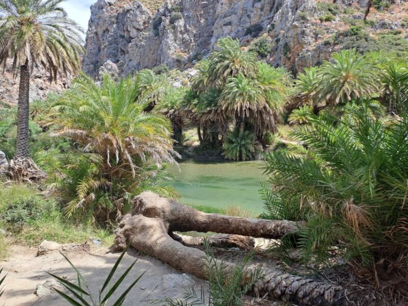 From Rethymno: Kourtaliotiko, Preveli Palm Beach, & Damnoni - Frequently Asked Questions