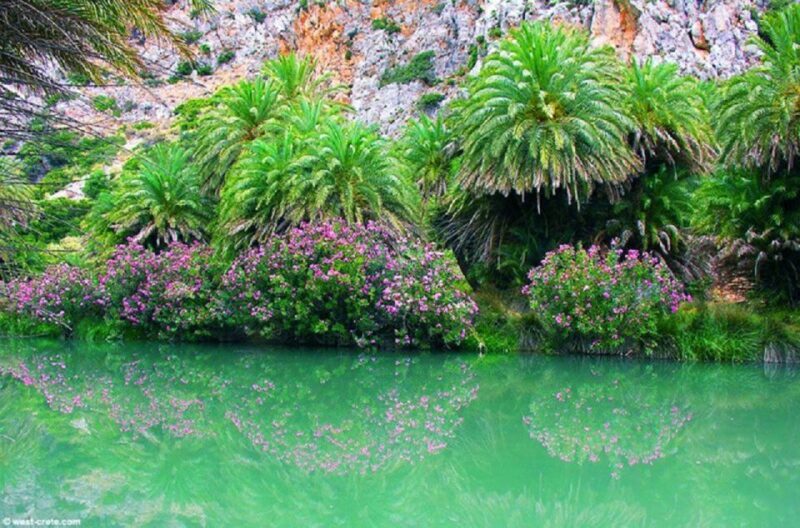 From Rethymno: Preveli Palm Beach and Kourtaliotiko Day Trip - The Sum Up