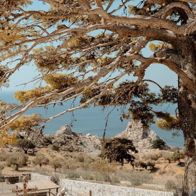 From Rethymno: South Crete Highlights Day Tour - Frequently Asked Questions
