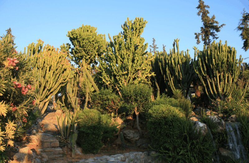 From Rethymno: Waterpark Adventure with Bus Transfer - Frequently Asked Questions