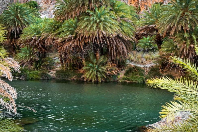 From Rethymnon Area: Private Trip to Preveli & Kourtaliotiko - The Sum Up