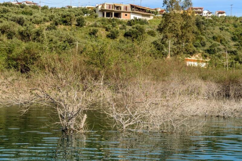 From Rethymnon: Chania and Lake Kournas Day Tour - Why This Tour Works Well