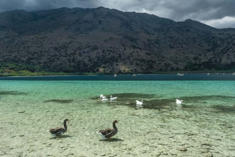 From Rethymnon: Chania and Lake Kournas Day Tour - FAQ