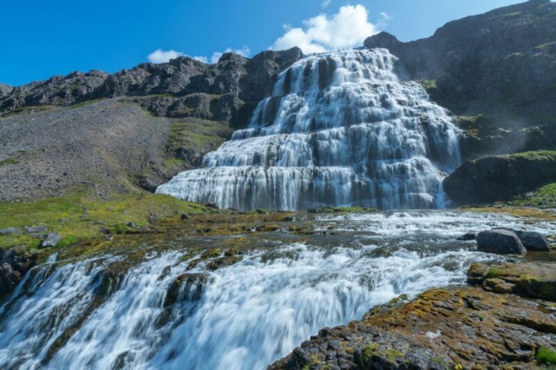 From Reykjavík: 3-Day Tour of the Wild Westfjords - An In-Depth Look at the Tour