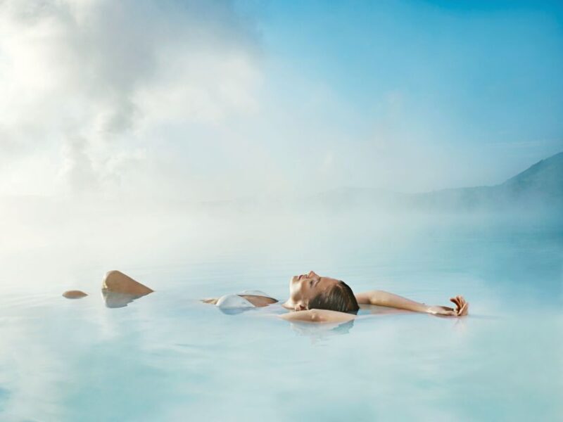 From Reykjavik: Blue Lagoon and Northern Lights Tour - Key Points