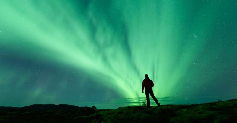 From Reykjavik: Blue Lagoon and Northern Lights Tour - A Full Review: Combining Comfort and Adventure in One Day