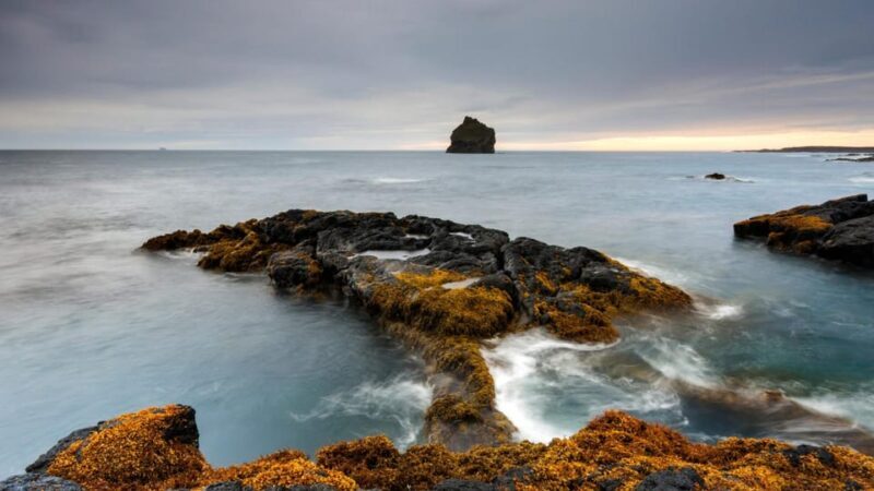 From Reykjavik: Blue Lagoon and Reykjanes Peninsula Tour - FAQs