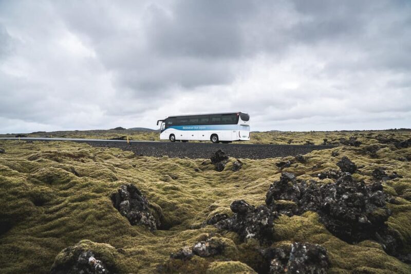 From Reykjavík: Blue Lagoon Premium Admission with Transfer - An Honest Look at the Tour Experience