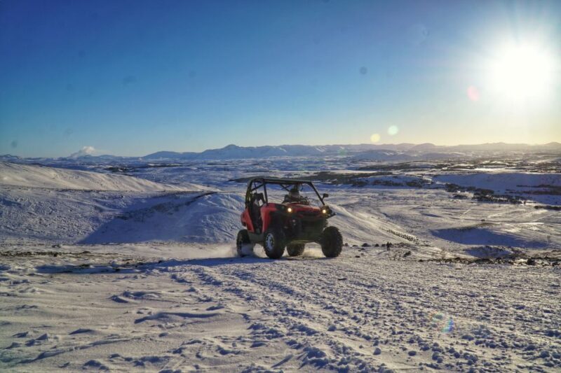From Reykjavik: Buggy & Whale Watching Adventure - Key Points