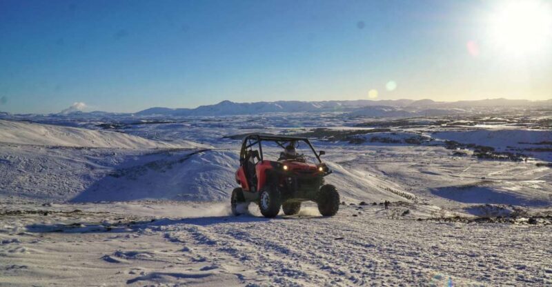 From Reykjavik: Buggy & Whale Watching Adventure - The Experience: What You Can Expect