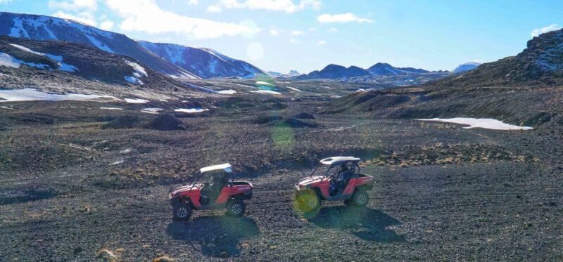 From Reykjavik: Buggy & Whale Watching Adventure - FAQ
